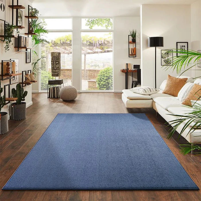 Carpet Use in Seasonal Transitions: Summer and Winter Models — Kristal ...